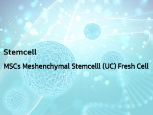 Stemcell - MSCs Meshenchymal Stemcelll (UC) Fresh Cell - bangkok biocell co., ltd.