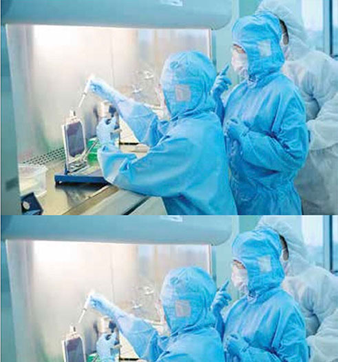 home 1 - bangkok biocell co., ltd.